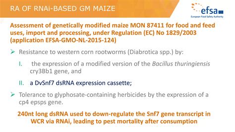 Review Of Efsas Activities On The Risk Assessment Of Rnai Based Gm Crops Nikoletta