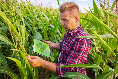 How Do We Get Data Driven Farming To Work For Farmers Part 1 The