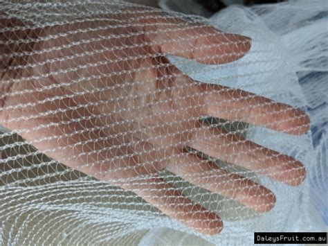 Buy Fruit Fly Exclusion Netting Large 6m X 6m