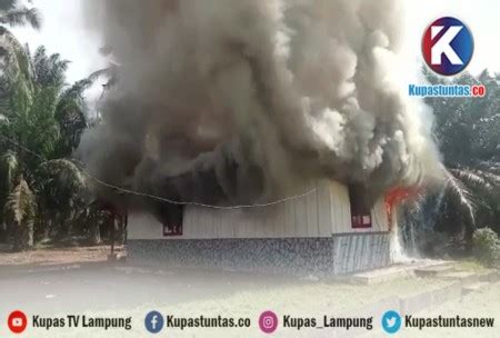 Kupas Tuntas Ratusan Warga Dari Lima Kampung Merusak Dan Membakar