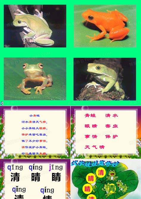 小青蛙PPT模板下载 编号lpbrbzag 熊猫办公