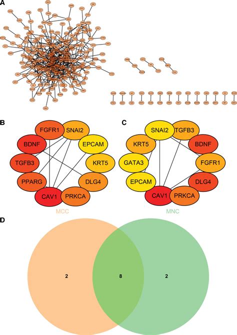 Cav1 And Krt5 Are Potential Targets For Prostate Cancer Pmc