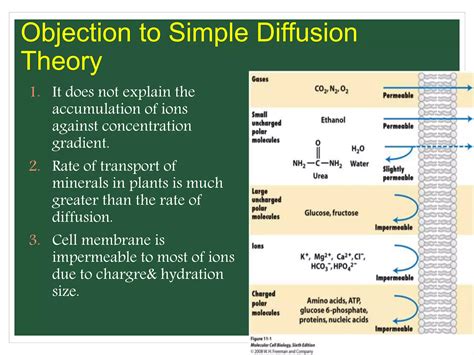 Nutrient Uptake Pptx