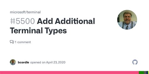 Add Additional Terminal Types Issue Microsoft Terminal Github