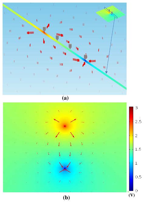 A Cross Sectional View Of The Potential Distribution Contour And 3d
