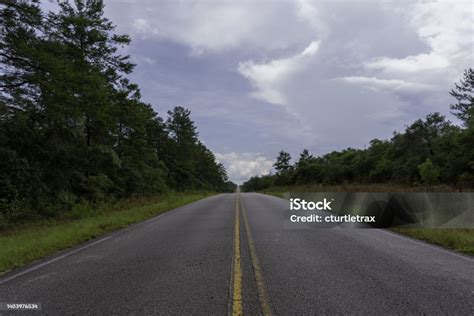 젖은 아스팔트 도로의 낡은 중심선을 따라 낮은 각도의 넓은 시야 흐린 하늘에 구름이있는 모래 소나무 숲을 통해 구불 구불 한 풍경을 따라 0명에 대한 스톡 사진 및 기타