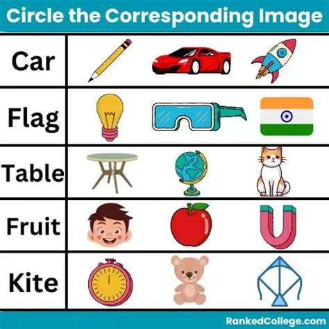 Worksheet For Nursery Class All Subjects