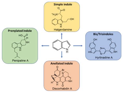 Marine Derived Indole Alkaloids And Their Biological And