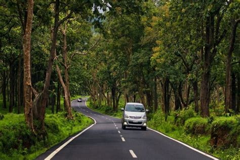 Top 5 Road Trips From Bangalore For A Memorable Journey