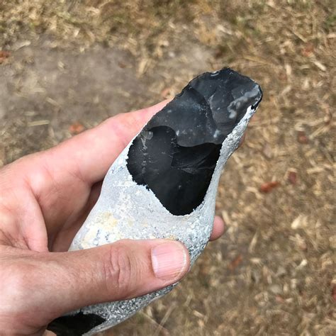 English Flint Nodule Specimens With Cortex Medium Native Way Online