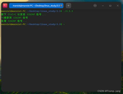Linux【c编程】 信号以及信号的处理方式c Signal 15 Csdn博客