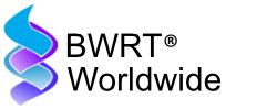 BWRT Worldwide Brain Working Recursive Therapy