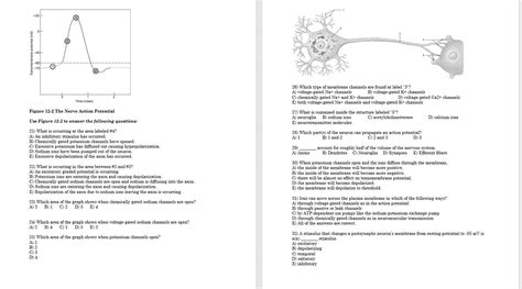 Solved Figure 12 2 The Nerve Action Potential Use Figure Chegg