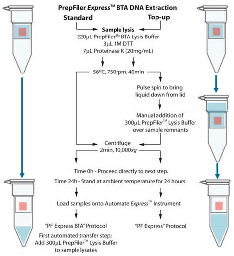 Lysis Buffer Recipe Proteinase K Besto Blog
