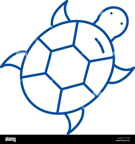 Turtle Line Icon Concept Turtle Flat Vector Symbol Sign Outline