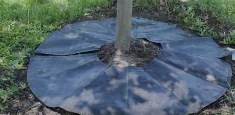 Treediaper 24 Smart Watering Mat For 1 5 Caliper Trees Ecoturfmidwest