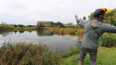 El Guapo Streamer Line Youtube