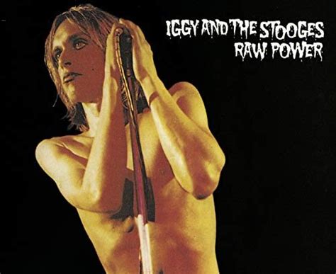 The Stoogesiggy Pop Rockintown