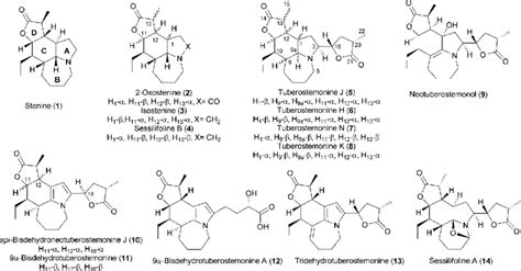 Stemona Alkaloids Of The Stenine Group 1 14 Download Scientific