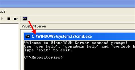 Visualsvn Server Descargar