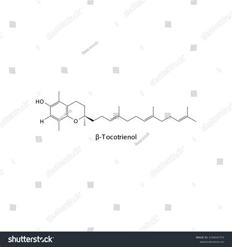 Beta Tocotrienol Skeletal Structure Molecular Formula Stock Vector