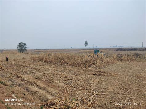 河南省“十四五”大功灌区续建配套与现代化改造项目2022年度工程举行开工仪式 大功灌区 河南省海河流域水利事务中心