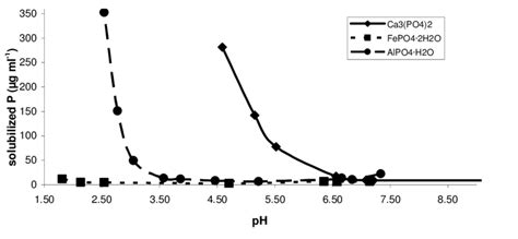 Solubilization Of Sparingly Soluble Phosphates As Influenced By Ph At