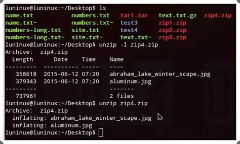 新手必备：20个基础linux命令详解，助你快速掌握命令行操作技巧 linux命令大全 手册