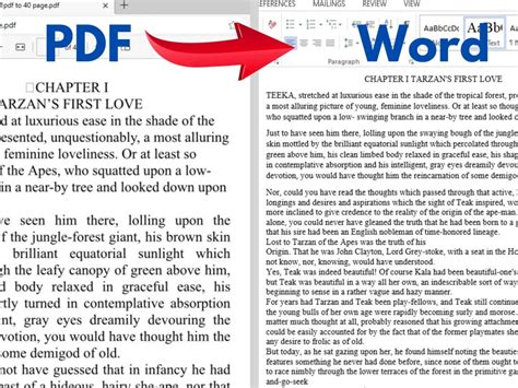 Hi I Am Expart Data Entry And Pdf To Excel Upwork