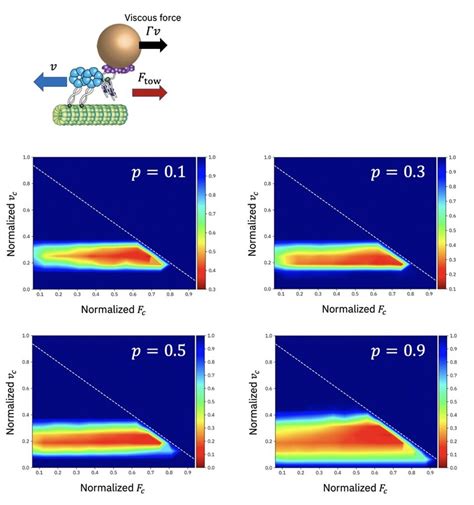 Fig S7 Contour Of The Error Function í µí°¸ í µí°¹ Y í µí±£ Y For Download Scientific