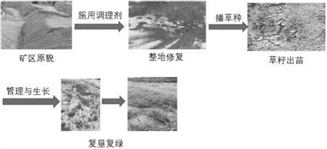 活性农林生物炭微纳米复合土壤调理剂及其制备方法与流程2