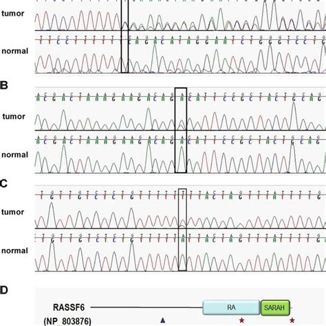 Somatic Mutations Detected In Whole Exome Sequencing Sample And Deep Download Scientific