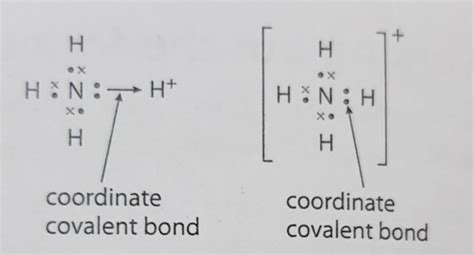The Coordinate Dative Covalent Bond Flashcards Quizlet
