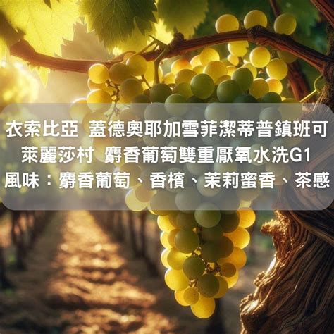 衣索比亞 蓋德奧耶加雪菲潔蒂普鎮班可萊麗莎村 麝香葡萄雙重厭氧水洗 G1半磅濾掛式10包 已售完好豆 所有商品