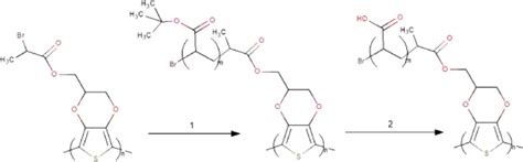Polyacrylic Acid Grafting From The Pbredot Backbone 1 Tba