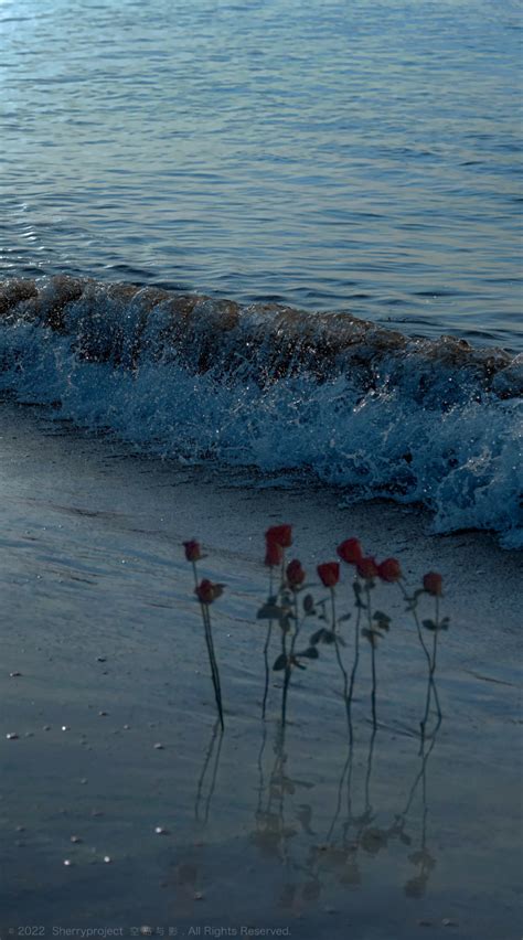 屏保 高清图片，堆糖，美图壁纸兴趣社区