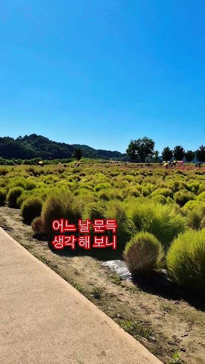 어느날문득 가사자막 임영웅 임진강댑싸리공원 연천 Youtube