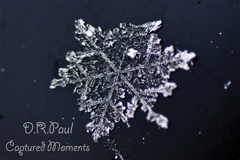 Captured Moments Snowflake By Monsterkitty1220 On Deviantart