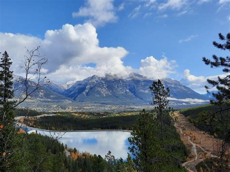 After My Trial Didnt Proceed Due To Not Getting A Judge I Took The Opportunity To Take A