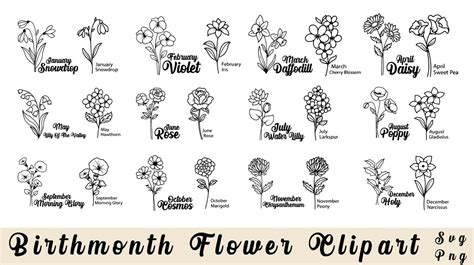 Birth Flower Svg Birth Month Svg Bundle Flower Svg Floral Svg