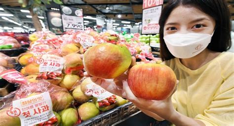 홈플러스 “햇먹거리 늘려 신선식품 강자 입증” 인사이트