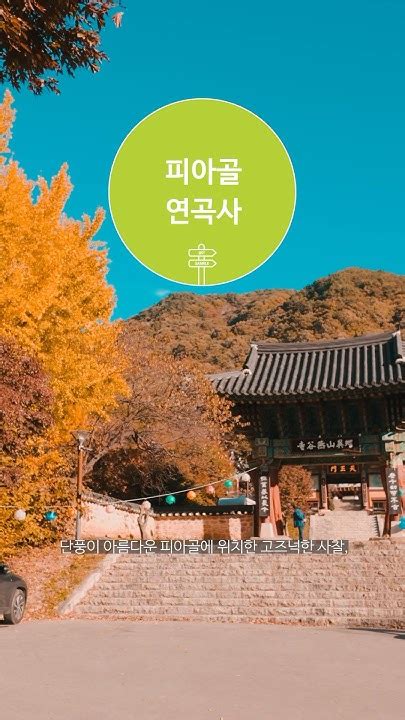 단풍이 물든 고즈넉한 사찰 가을이 찾아온 피아골 연곡사 사찰 가을여행 연곡사 Youtube