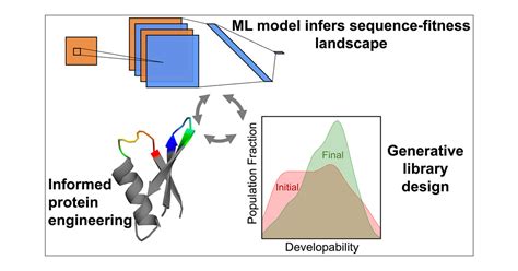 predicting and interpreting protein developability via transfer of