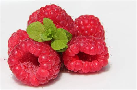 Raspberry Mint Berry Free Photo On Pixabay Pixabay