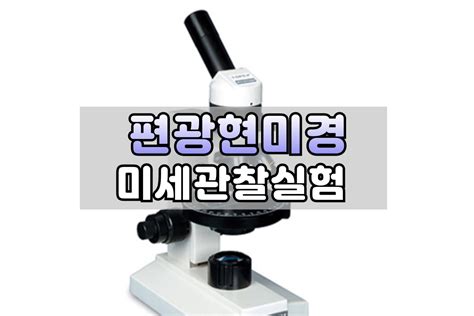 편광현미경으로 보는 물체의 표면 특성 관찰 방법