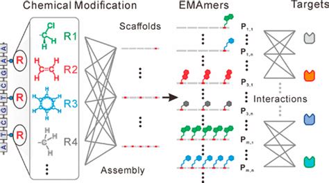 Ensemble Modified Aptamer Based Pattern Recognition For Adaptive Target