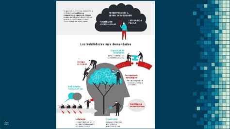 CAMPOS DE ACTIVIDAD PROFESIONAL PARA EL LICENCIADO EN