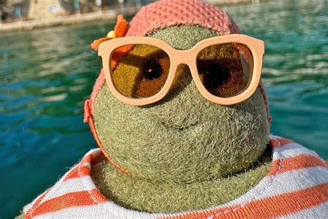 Tiny Chef Confirms Show Has Not Been Saved Amid Rumors Of A Return Still Unemployed In 2025