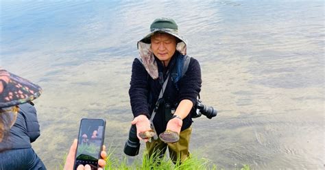 금호강에서 이렇게 큰 조개가 이거 정말인가요