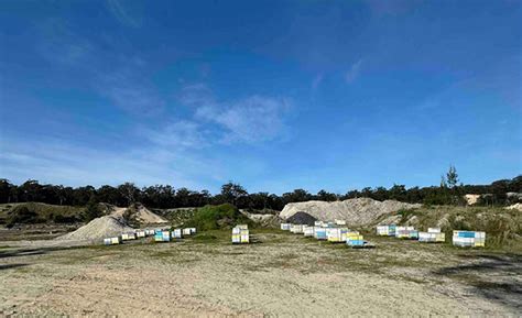 The Amateur Beekeeper Varroa Resistant Bees